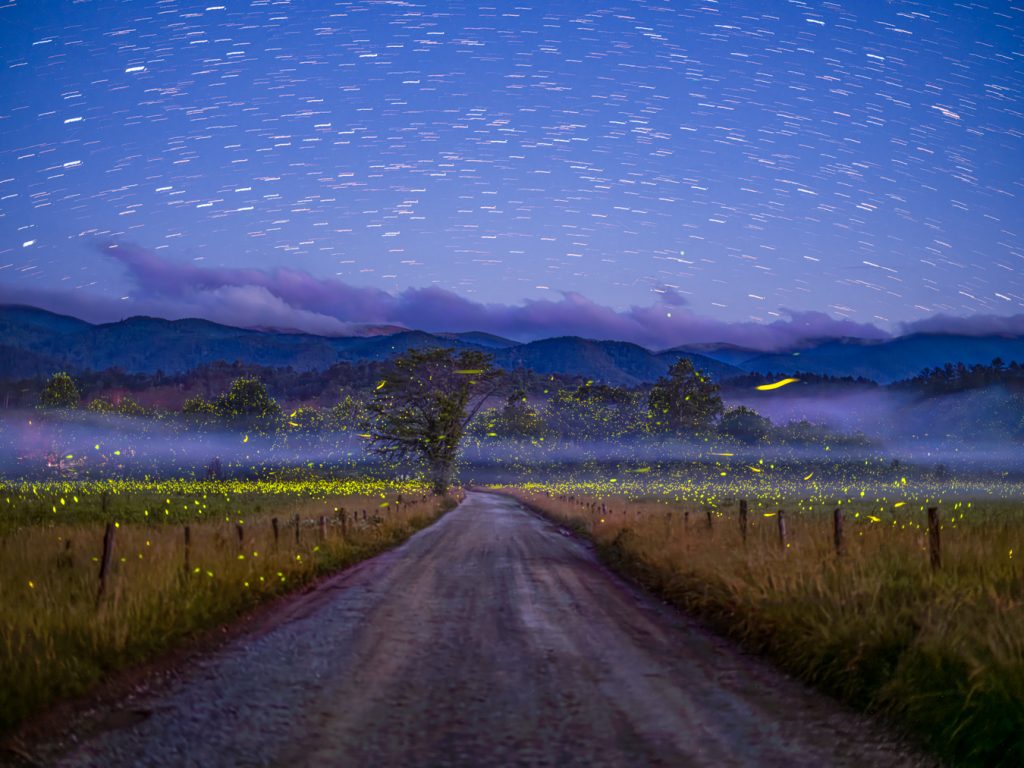 Asheville Pictures | North Carolina Photos by James O. Reynolds
